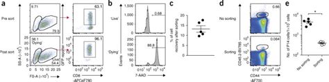 Optimized Retroviral Transduction Of Mouse T Cells For In Vivo