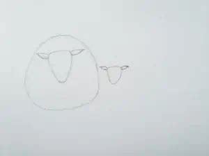 How To Draw A Sheep And Lamb Birch And Button