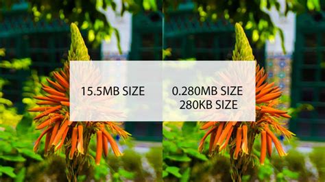 Ultra Image Optimization Compression Resize Optimize By Krytof Fiverr
