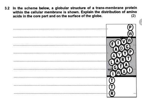 Solved 32 ﻿in The Scheme Below A Globular Structure Of A