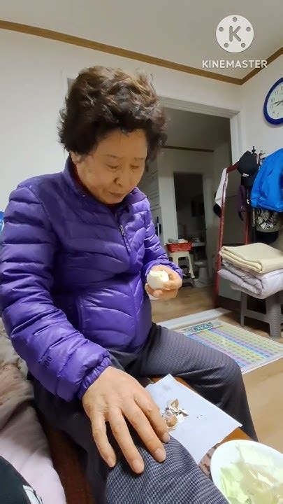 Shorts 240327 양배추와 삶은계란 혈당 걱정없는 간식 Youtube