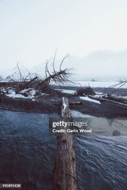 Log Jam In River Photos And Premium High Res Pictures Getty Images