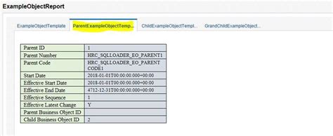 Getting Started With Inbound Integration Using Hcm Data Loader In Oracle Fusion Hcm Cloud