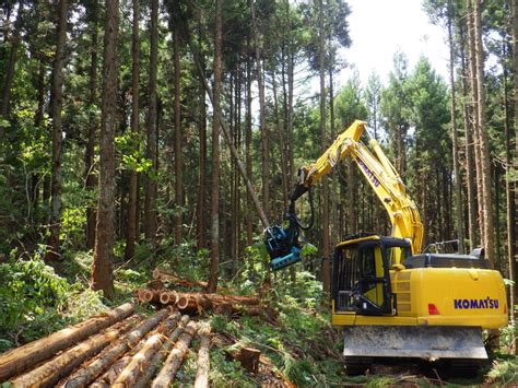 大曲農業高校生の林業職場体験学習 ｜ 秋田県農林水産情報こまちチャンネル 秋田県の農林水産情報が集まる総合ポータルサイト