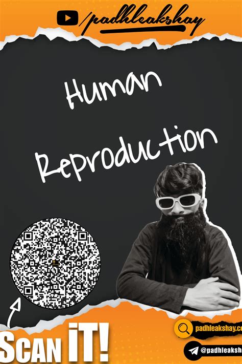 Biology Notes Primary Female Sex Organs And About To Cm In Length Located