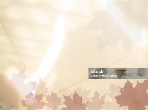 가을 배경 가을 단풍 나무 나뭇잎 프레임에 그림자 제품 화장품 아름다움 베이지 색 템플릿 최소한 빈 디스플레이 사진 추상 모형 3d Bg 배경 바닥 선반 파스텔 벽지 자연