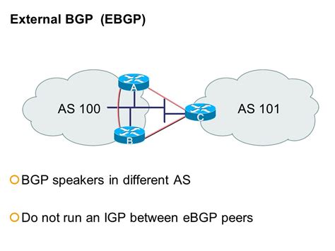 Networking And Scripting BGP Basics