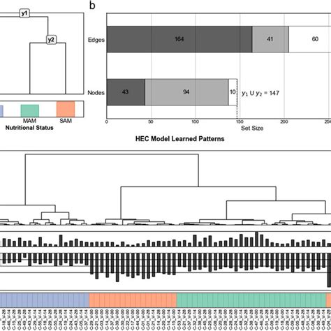 Hierarchical Classification Scheme For Phenotypes Using Sample Specific Download Scientific Hierarchical Classification Scheme For Phenotypes Using Sample Specific Download Scientific