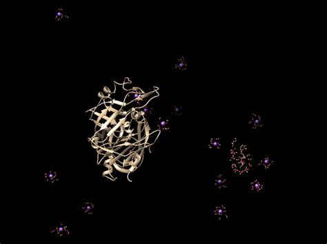 Molecular Dynamics In Protein Ligand Simulations Ligand Interaction With The Enzyme Active Site