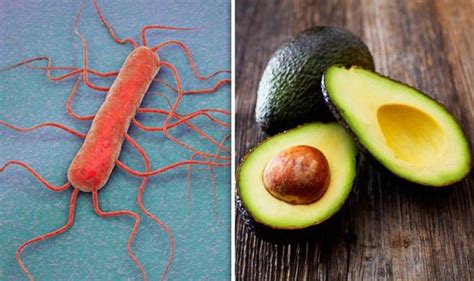 Listeria Avocado Why You Need To Wash Your Avocado Before Eating