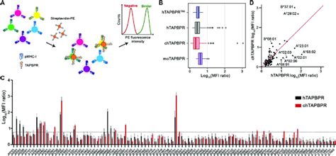 Tapbpr Orthologs Demonstrate Distinct Hla Binding Profiles Using Sabs