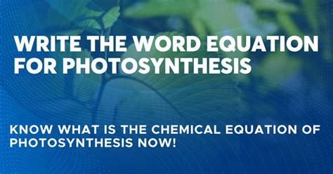 Write The Word Equation For Photosynthesis Get Formula Diagram