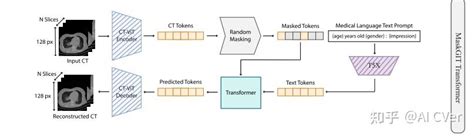 文本引导的3D胸部CT生成 知乎