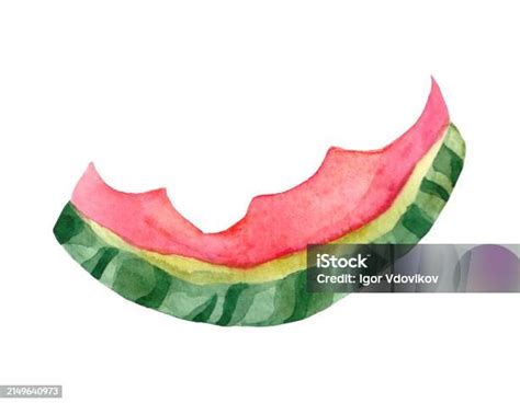 물린 수박의 달콤한 조각 질감 종이에 멜론의 수채화 그림입니다 인쇄를 위한 베리의 손 그림 패턴 디자인 먹은 여름 과일의 껍질을 얇게 썬다 비건 및 비타민 다이어트 요소