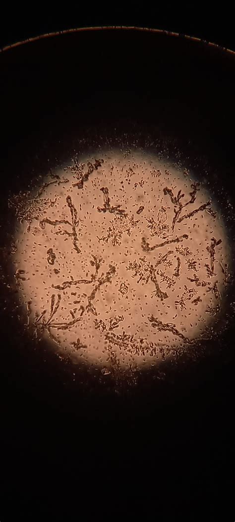 Syed Arsalan Jawed On Linkedin Cost Effective Portable On The Go Water