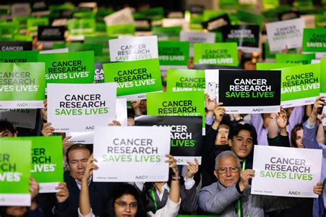 The Future Of Cancer Research Rests With Congress Cancer Today