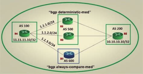 Router Bgp Mahmoud Youssef
