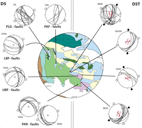 colour online schematic diagram illustrating areal distribution of