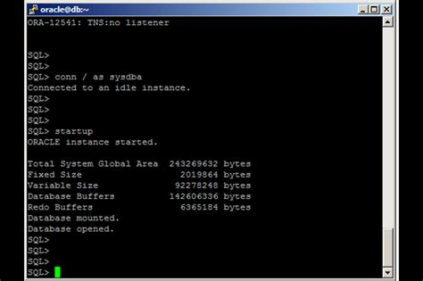 SQL Plus Sysdba Org