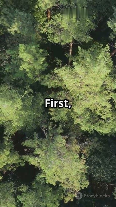 Sql Find Second Highest Salary Easy Solution Datascience Programming Coding Sqltips Youtube