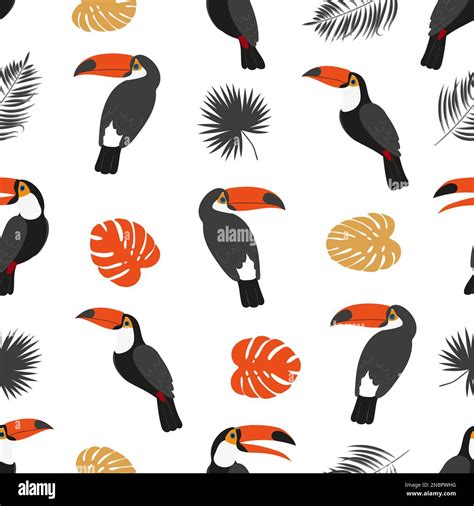 Seamless Toucan Pattern Vector Tropical Background Stock Vector Image And Art Alamy