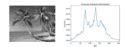 Opencv Histogram Equalization And Adaptive Histogram Equalization