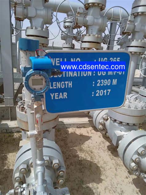 Sentec Iot Lora Wireless Sensors Apply For The Eandp Digital Transformation Sentec