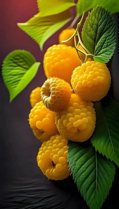 Raspberry Discover 170 Raspberry Color Mix Ideas Raspberry Color Fruit Photography And More