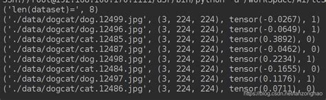 Pytorch数据预处理pytorch中对各类型数据进行预处理 Csdn博客