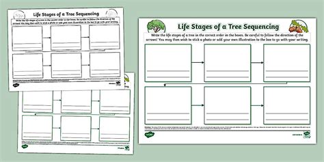 Life Stages Of A Tree Sequencing Mind Map Teacher Made