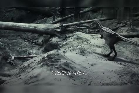 恐龙称霸了地球1 6亿年为什么没有诞生出文明看完涨姿势了 称霸 地球 文明
