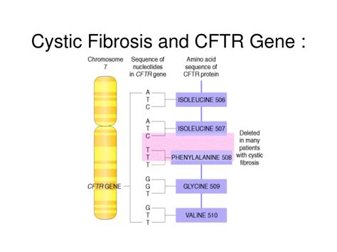ppt dynamic programming sequence alignment powerpoint presentation free download id 149996