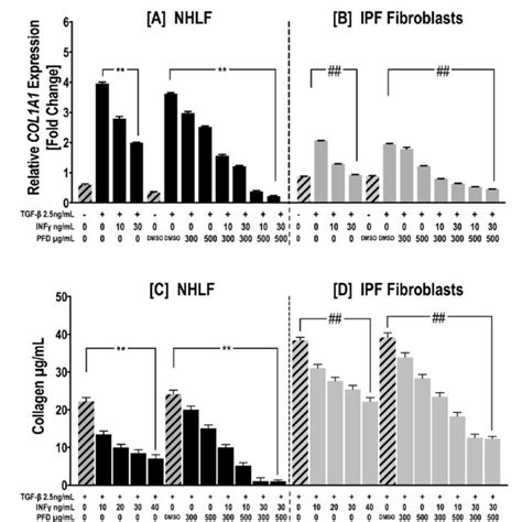 Ifn γ And Pfd Synergistically Downregulate Tgf − β1 Induced Collagen