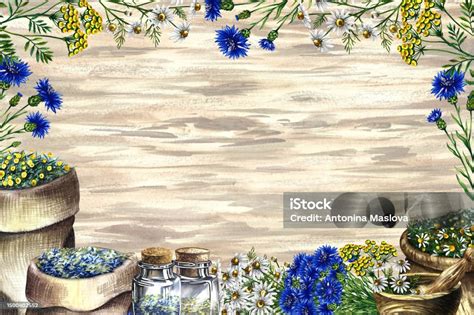 약초 수레 국화 카모마일 탠시 프레임 나무 배경에 배너입니다 린넨 가방 유리병 나무 냄비 박격포와 유봉 분쇄기 수채화 손으로 그린 그림입니다 0명에 대한 스톡 벡터 아트 및