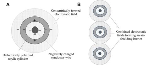 Schematic Representation Of The Electrostatic Field Produced By A Download Scientific Diagram