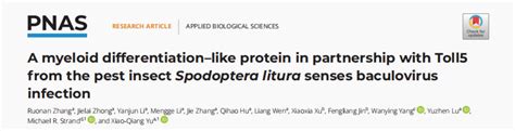 生命科学学院余小强教授团队在《pnas》发文揭示昆虫toll Ml信号通路识别病毒的新功能 华南师大新闻网