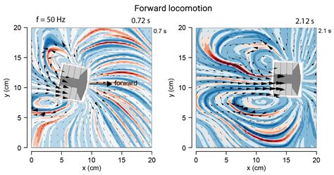 Untethered Agile Flat Swimming Robot ‒ Lmts ‐ Epfl