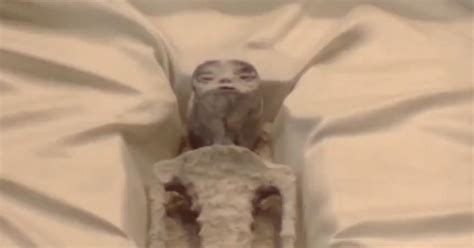 تحلیلگران ادعا می‌کنند دی‌ان‌ای به‌دست‌آمده از اجساد فرازمینی در پرو به