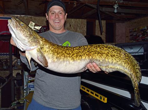 Ice Fishing For Burbot Tips From The New Record Holder • Outdoor Canada
