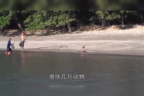 印度村子出现神秘生物，众人赶来合影留念，专家赶来一看：赶紧跑村子生物众人