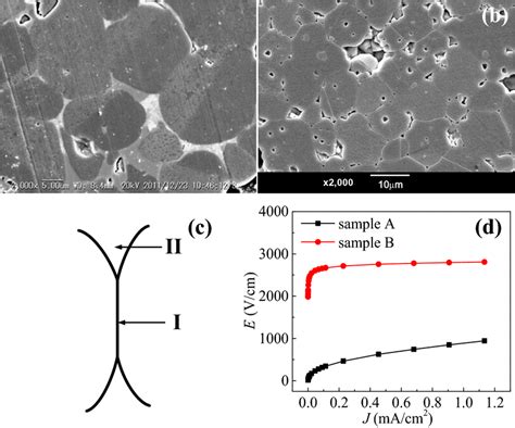 Scanning Electron Micrographs Of The Samples A Sample A B Sample B C