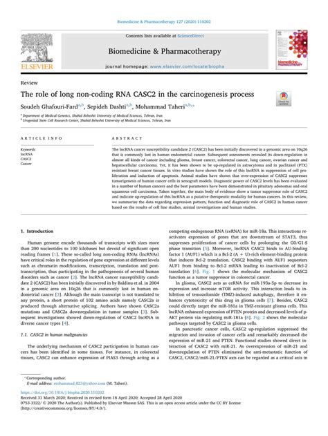 Pdf The Role Of Long Non Coding Rna Casc2 In The Carcinogenesis Process
