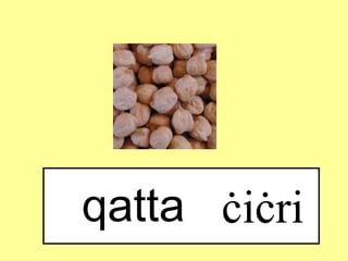 Nomi Kollettivi Ppt