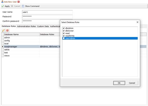 Nosql Manager For Mongodb Screenshots