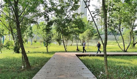 comprehensive treatment engineering of liulin park section linli national wetland park china