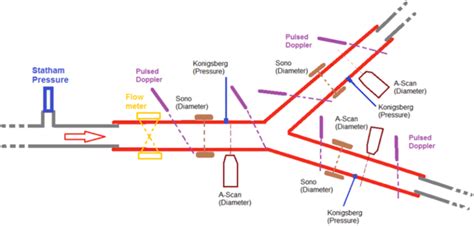 Schematic Diagram Of Sensor Placement Download Scientific Diagram