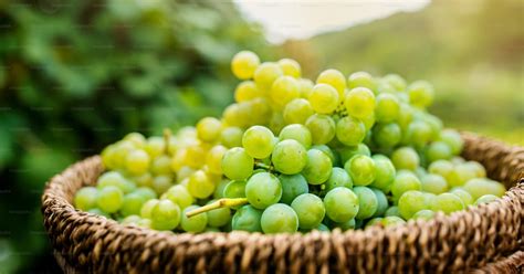 녹색 잎으로 둘러싸인 포도로 가득 찬 바구니 사진 Unsplash의 포도 덩굴 이미지