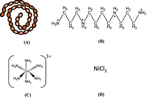 Chemical Composition Of A Protamine Made Up Of A Total Of 33 Amino Download Scientific