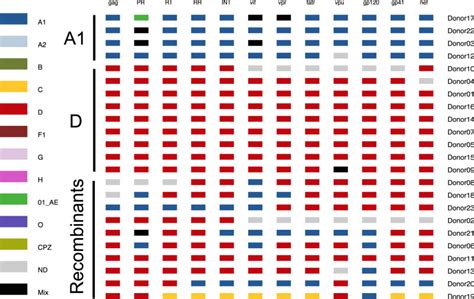 Hiv 1 Subtype A1 D And Recombinant Proviral Genome Landscapes During