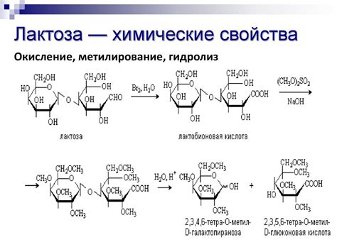 Олигосахариды и полисахариды - презентация онлайн